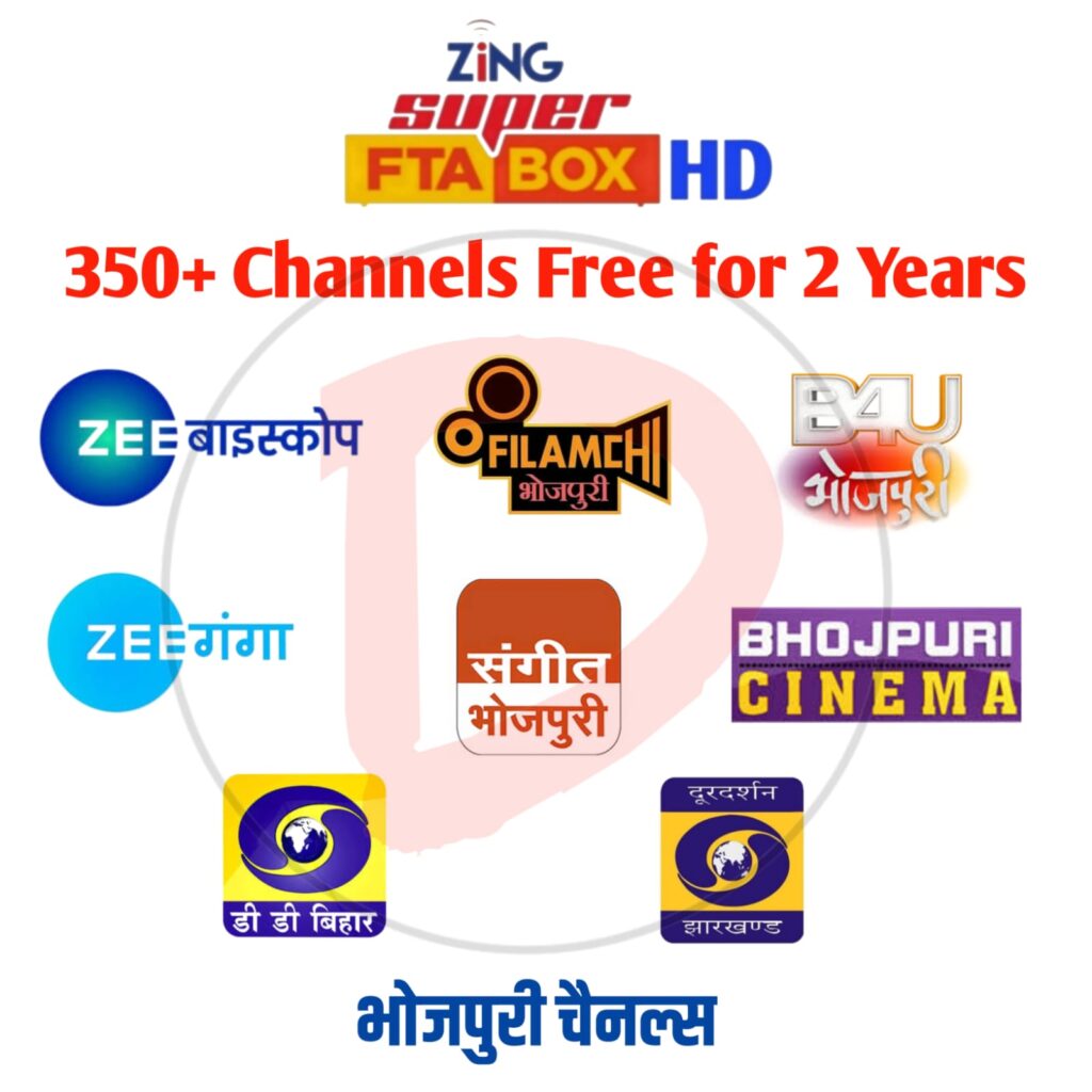Zing Dish TV-d2h 5710 HD Box with 2 Years Free Pack buy online ...